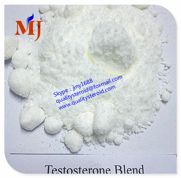 Sustanon high purity steroid raw powder manufacturer Testosterone Blend