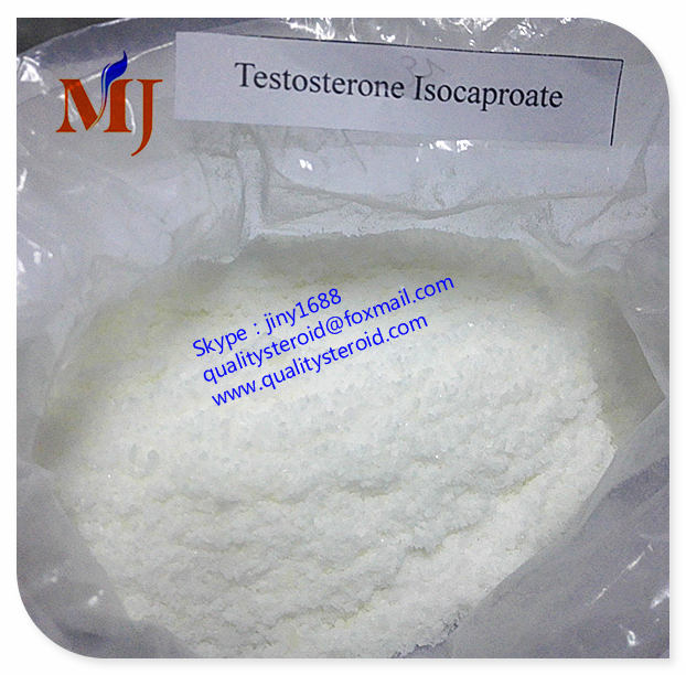 testes of males Testosterone Isocaproate