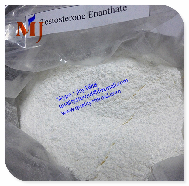 increases energy and promotes fat loss Testosterone Enanthate powder
